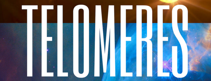 Dr. Dave’s Telomere Book Part 1: The Introduction – The Longevity Edge