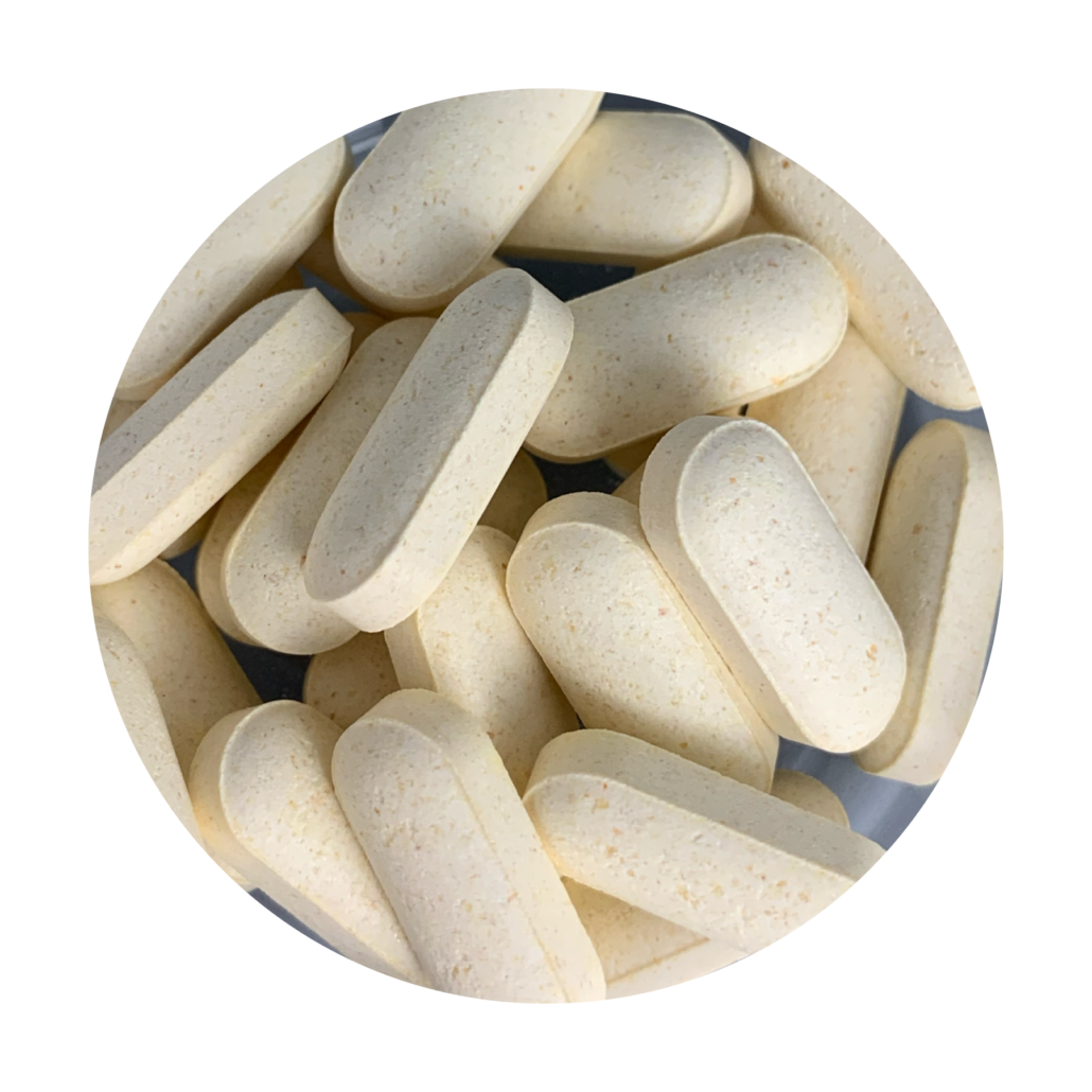 Pro Life Ultra Probiotic – The Longevity Edge